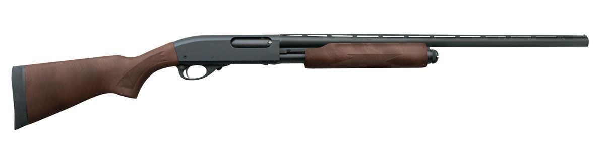 TOP 10 Rifles, Shotguns, and Pistols You Should Never Sell - PewPewZone