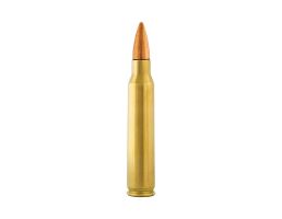 5.56 Ammo (5.56x45) | Palmetto State Armory