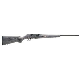 Savage Arms A17 Sporter .17 WSM Semi-Auto, Matte Gray - 47801 ...