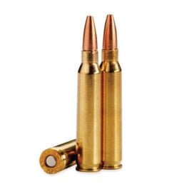 Wilson Combat .223 Remington 55 gr Ammo Lehigh Defense Controlled Chaos ...
