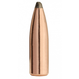 Sierra .25 Caliber (.257) 100gr SPT Bullets 100ct - 1620 | Palmetto ...