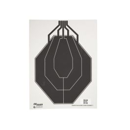 Sig Sauer T300 IPSC Target, Black/White | Palmetto State Armory