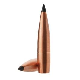 Cutting Edge Bullets Lazer .408 Cal HP Single Feed Rifle Bullet, 450 gr ...