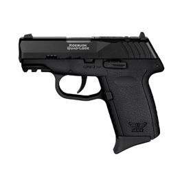 SCCY CPX-2 9mm Pistol 3.1" 10rd Black/Black CPX2CBBKRDRG3 | Palmetto ...