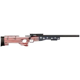 Crickett Precision .22LR Bolt Action Rifle, Old Glory - KSA2150-OG ...
