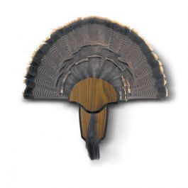 Hunter's Specialties Wild Turkey Tail and Beard Mounting Kit, Brown ...