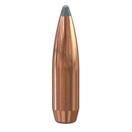 Speer 6mm 100 gr JSPBT Rifle Bullet, 100/pack - 1220 | Palmetto State ...