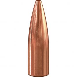 Speer TNT .25 87 gr JHP Rifle Bullet, 100/pack - 1246 | Palmetto State ...