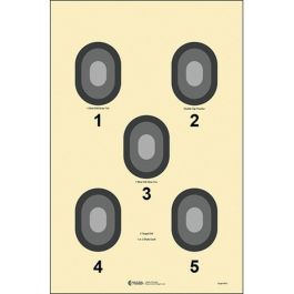 Action Target 5-Bullseye Target, Dark Gray/Light Gray | Palmetto State ...