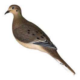 Avian-X AXP Full Body Dove Decoy, Pack of 6 | Palmetto State Armory