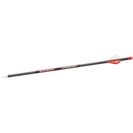 Bloodsport Arrows Judgement 31" 6.50 GPI 500 Spine Arrow Pack of 6 ...