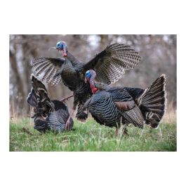 Higdon Outdoors TruStrutter XS Motion Turkey Decoy | Palmetto State Armory