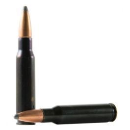 Traditions .308 Winchester Rifle Training Cartridges ATR308WIN ...