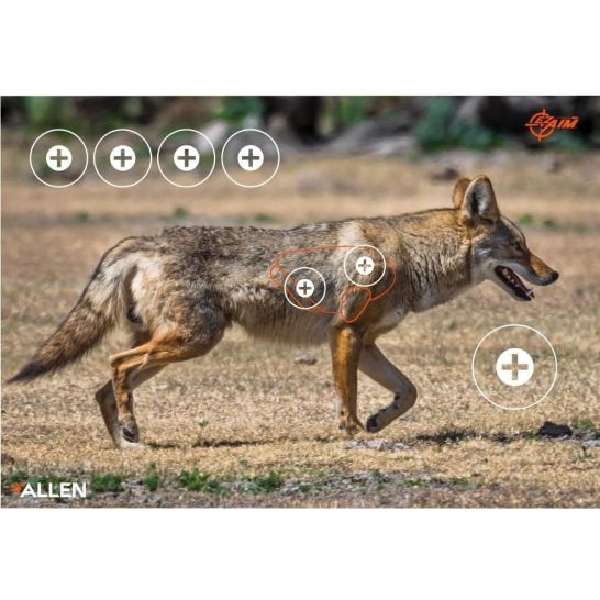 EZ Aim Coyote Target, White, 2 Pack - Realistic White Coyote Shooting ...