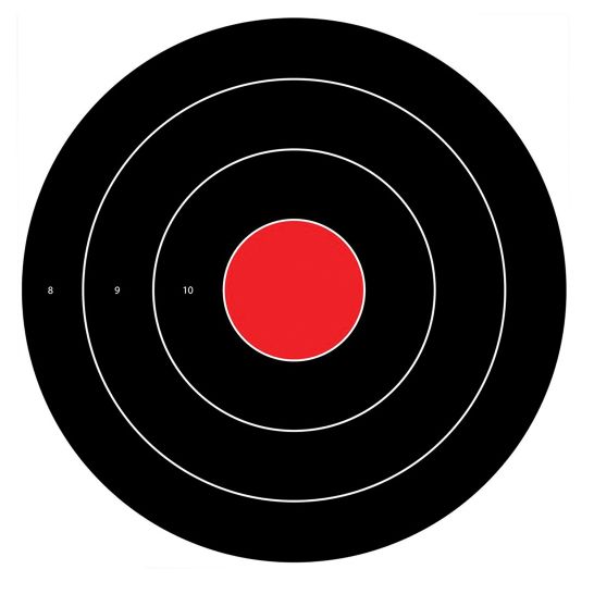 Birchwood Casey Dirty Bird Bullseye Targets - Black/White (100-Pack ...