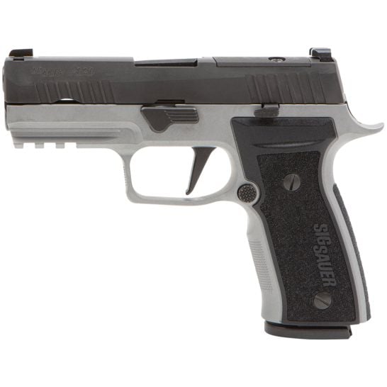 SIG P320 AXG Carry 9mm 320AXGCA-9-RTXR3-R2 | Palmetto State Armory