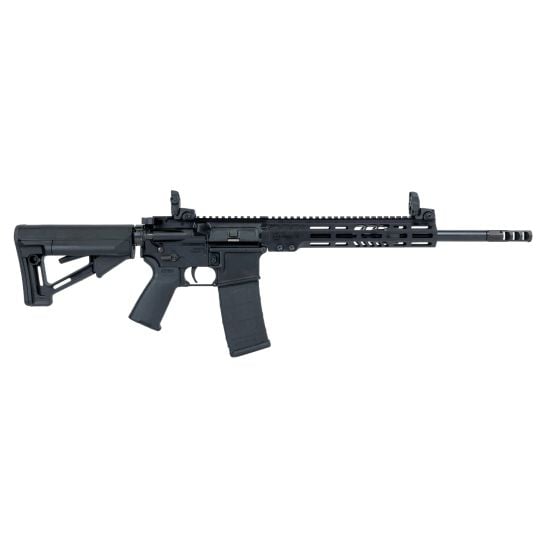 Armalite M-15 Tactical .223 Rem/5.56 Semi-Automatic AR-15 Rifle ...