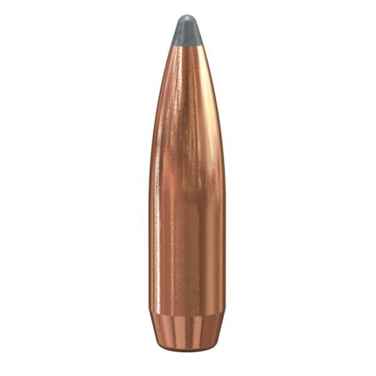 Speer 6mm 100 gr JSPBT Rifle Bullet, 100/pack - 1220 | Palmetto State ...