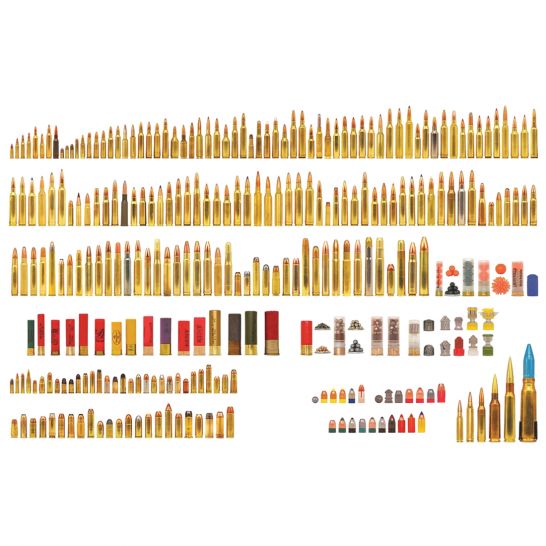 Chamberlain American Standard Rifle/Shotgun/Handgun Ammo Poster, 24" W ...