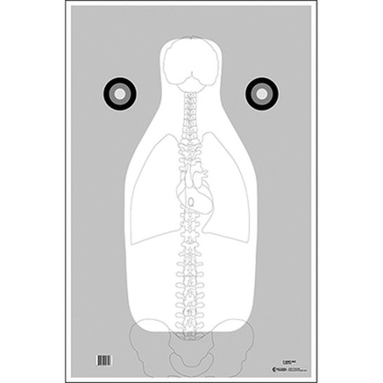 Action Target FBI Q Version 2 Target w/Vital Anatomy, Black/White/Gray ...