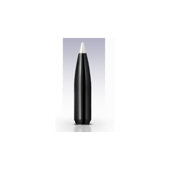 Nosler 6mm (.243) 95gr Combined Technolgy Ballistic Silvertip BT Bullets 50ct - 51040 | Palmetto ...