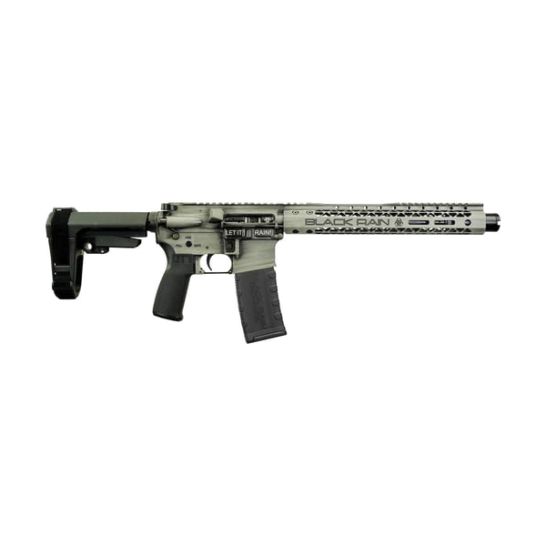 Black Rain Ordnance Spec+ Fusion We The People 5.56x45mm 10.50", Gray ...
