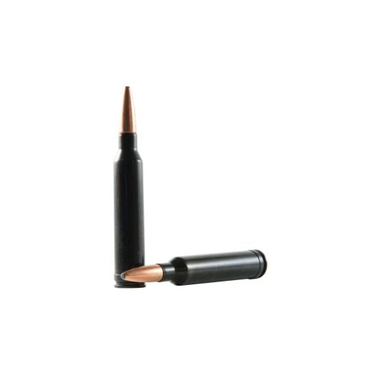 Traditions 7mm Remington Magnum Rifle Training Cartridges ATR7MMREM ...