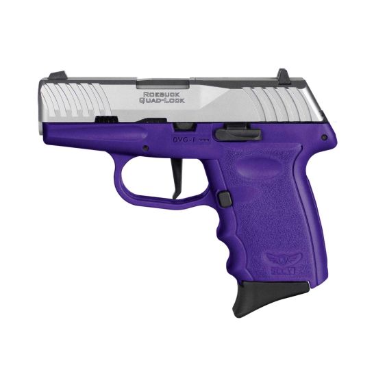 SCCY DVG1 9mm Pistol 3.1" 10rd, SS/Purple | Palmetto State Armory