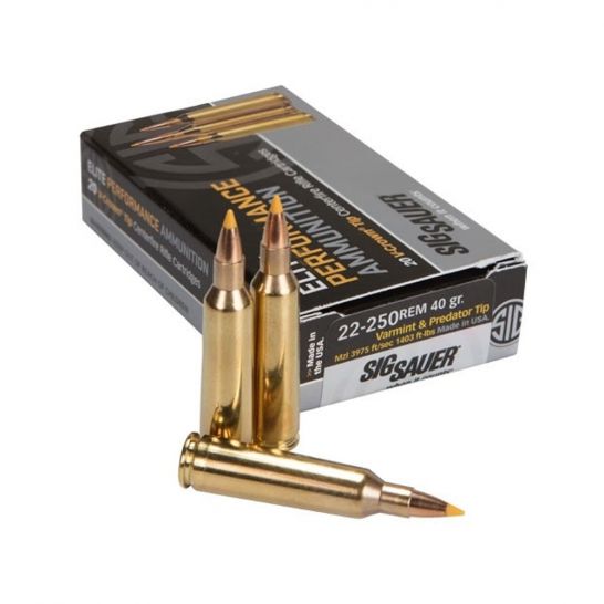 Sig Sauer 22 250 Remington 40gr Varmint Predator Ammunition 20rds