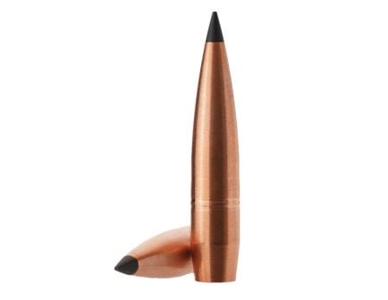 Cutting Edge Bullets Lazer .408 Cal HP Single Feed Rifle Bullet, 425 gr ...