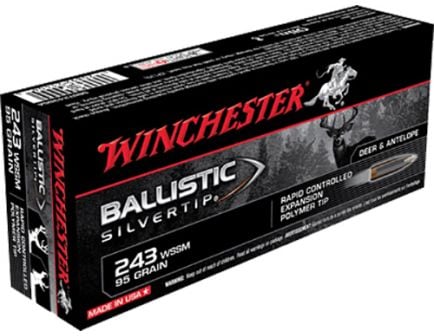 Winchester Ammunition Ballistic Silvertip 95 gr Polymer Tip .243 WSSM ...