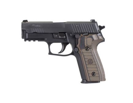 SIG P229 Pistols - Shop Now | Palmetto State Armory