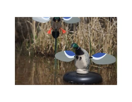 Mojo Outdoors Floater Mallard Drake Decoy, Duck - HW7101 | Palmetto ...