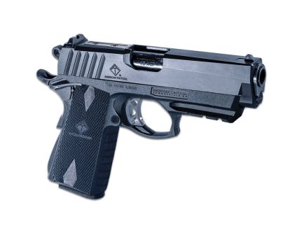 Shop 45 ACP Pistols | Palmetto State Armory