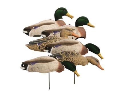 Higdon Outdoors Magnum Full Form Shell Mallard Duck Decoy | Palmetto ...