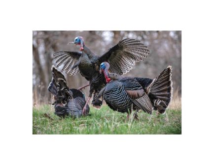 Higdon Outdoors TruStrutter XS Motion Turkey Decoy | Palmetto State Armory