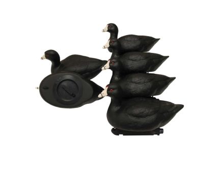 Mojo Outdoors 6-Pack Coot Confidence Decoy, Black | Palmetto State Armory