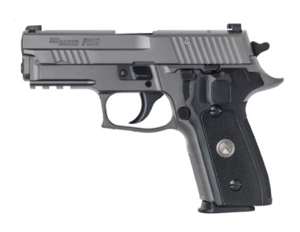 SIG P229 Pistols | Palmetto State Armory
