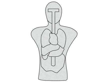 Infinite Defense - Torso Target, Anatomical - TORSO | Palmetto State Armory