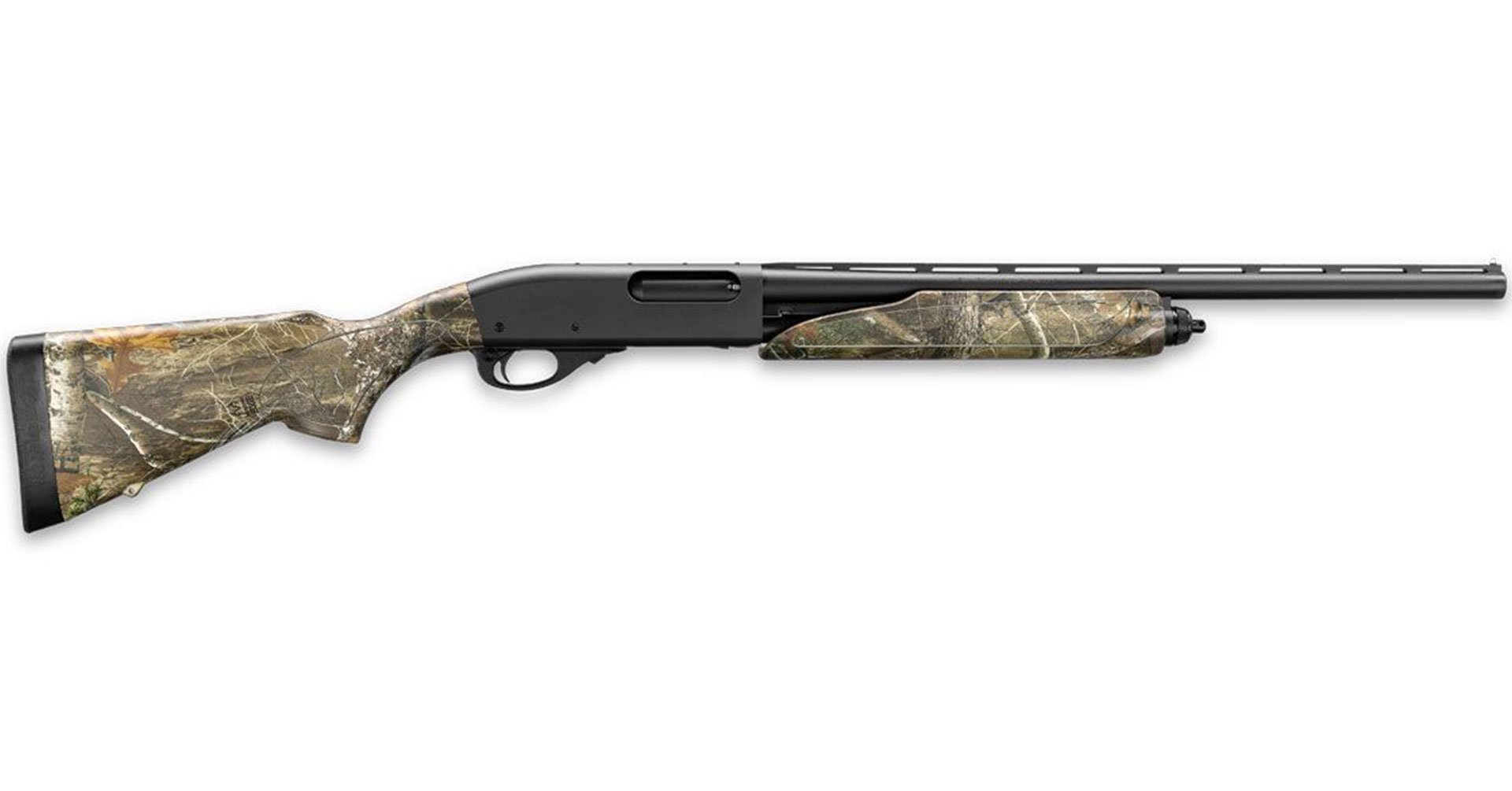 Turkey Hunting 101 | Palmetto State Armory